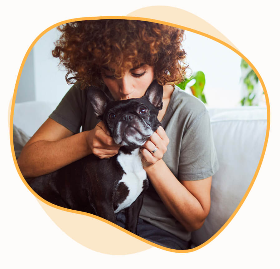 Why Choose Fetch Pet Care Services - Fetch! Pet Care