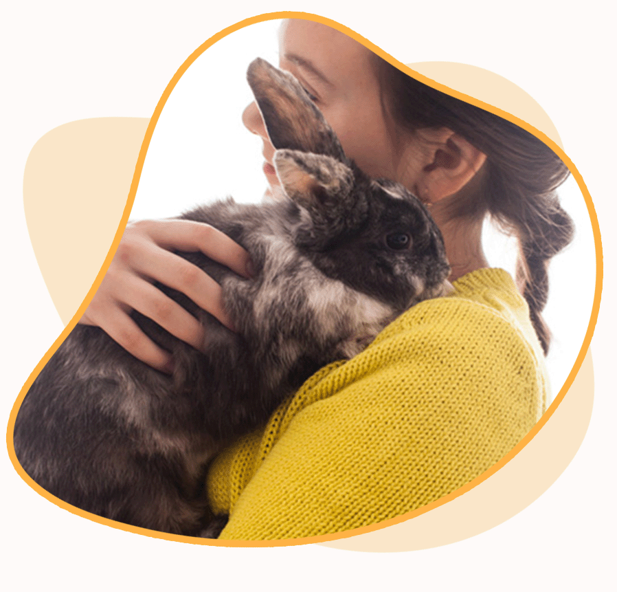 Job Opportunities - Fetch! Pet Care