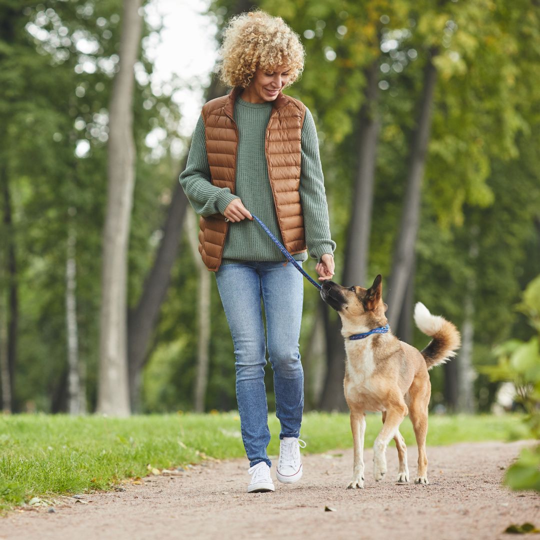 Benefits of Routine Walks for Your Dog - Fetch! Pet Care