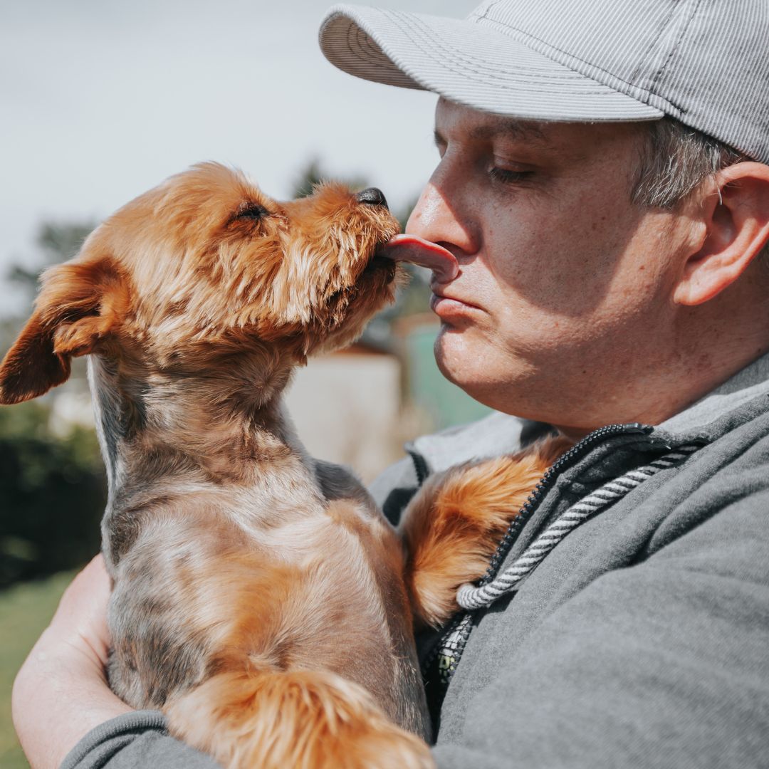 Fetch! Pet Care - Professional Pet Sitting & Dog Walking Services in ...