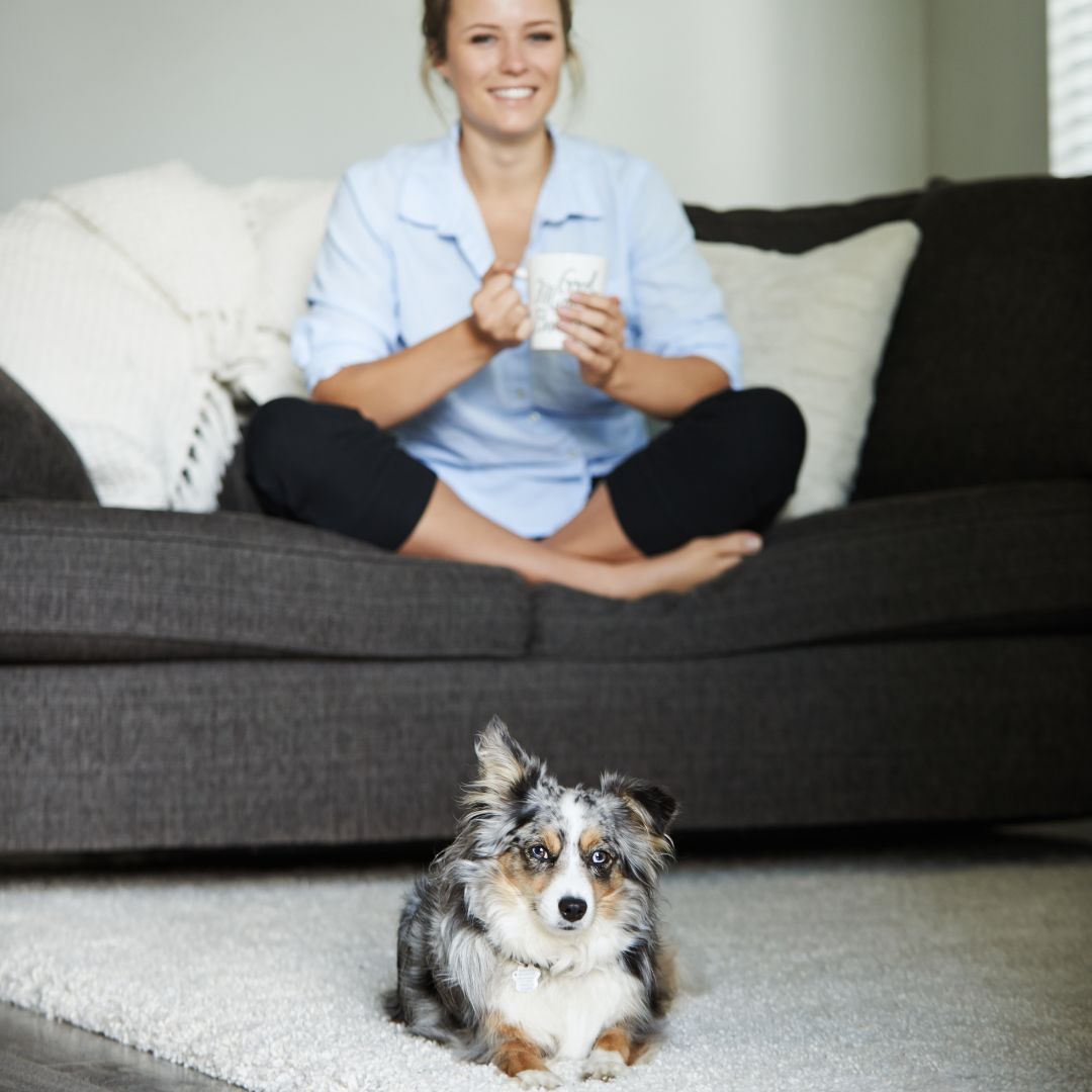 Tips for Choosing the Right Pet Sitter in Gwinnett - Learn More
